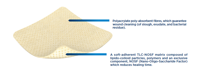 Fibrinous wound Archives | Urgo Medical